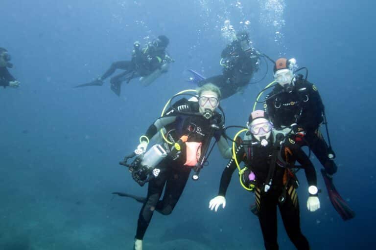 Plongeur - Dr Pierre Wauthy - Chirurgien cardiaque